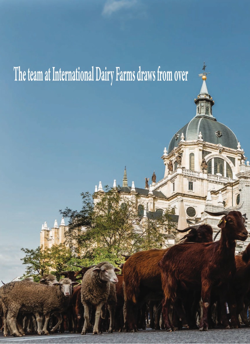 Our Catalog - International Dairy Farms